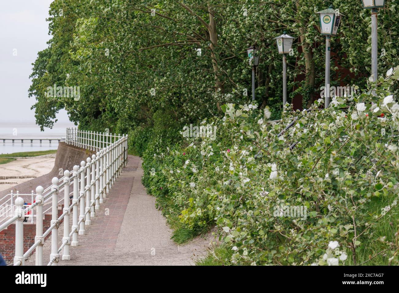 A narrow footpath with lanterns and a white railing, lined with dense ...