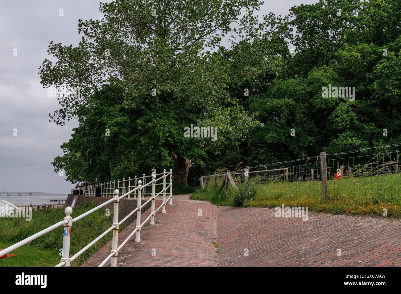 A quiet footpath with a white railing that leads through a wooded area ...