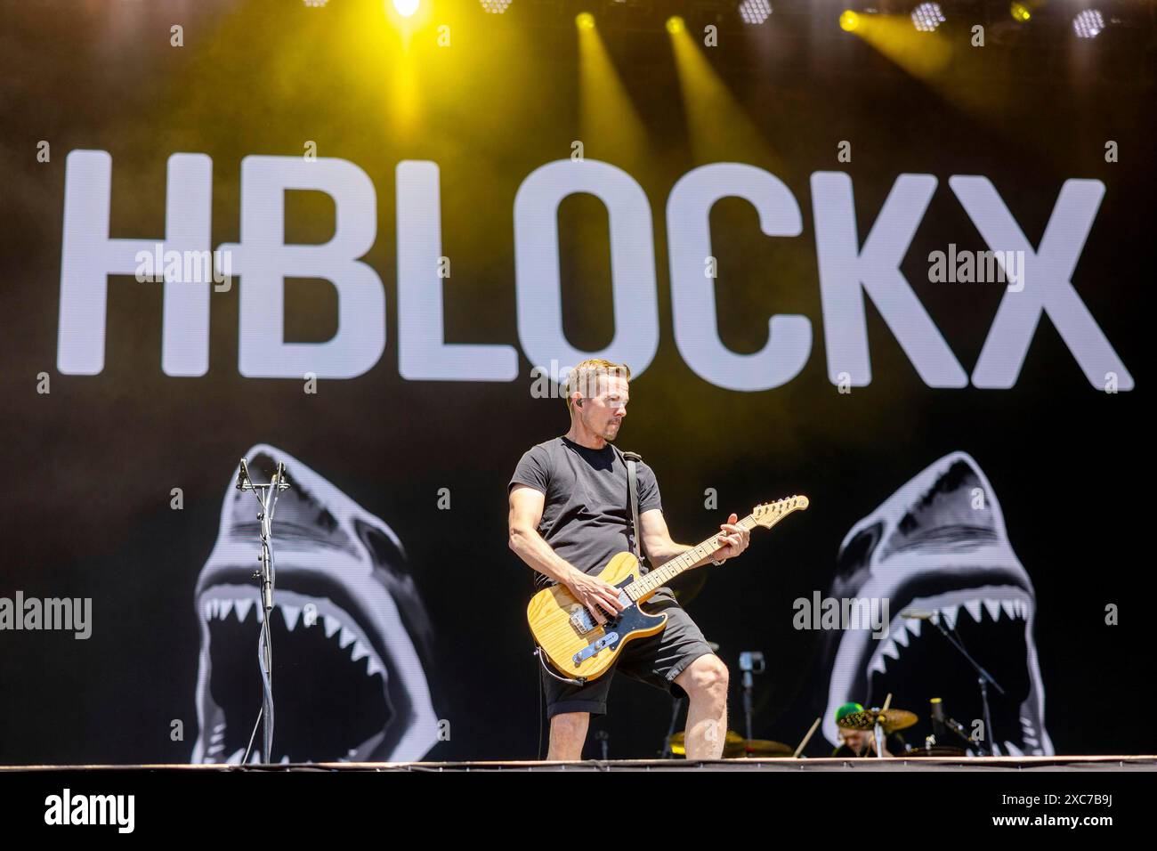 Adenau, Germany, 9 June 2024: H-Blockx (Tim Tinte Humpe, guitarist ...