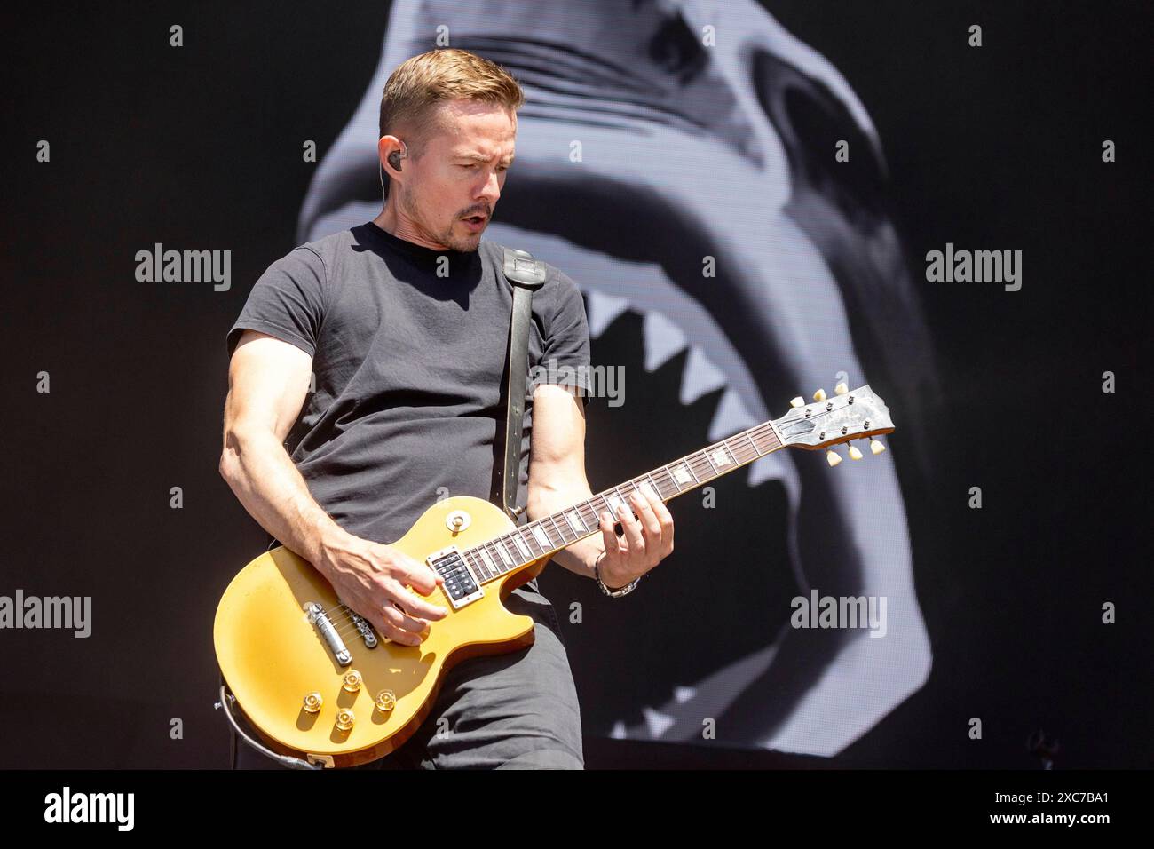 Adenau, Germany, 9 June 2024: H-Blockx (Tim Tinte Humpe, guitarist ...