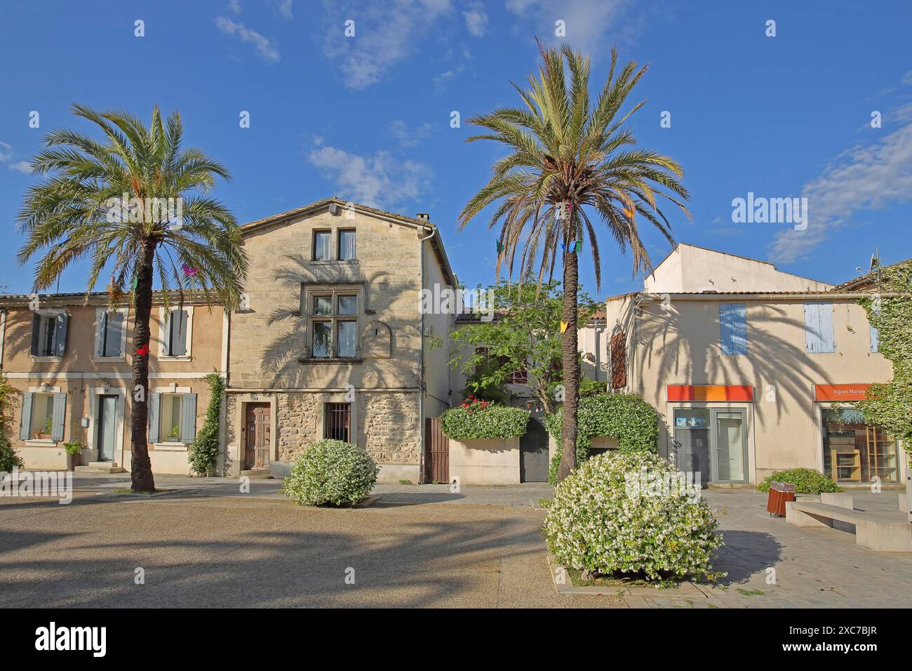 Houses and palm trees on Place de la Viguerie, Aigues-Mortes, Gard ...