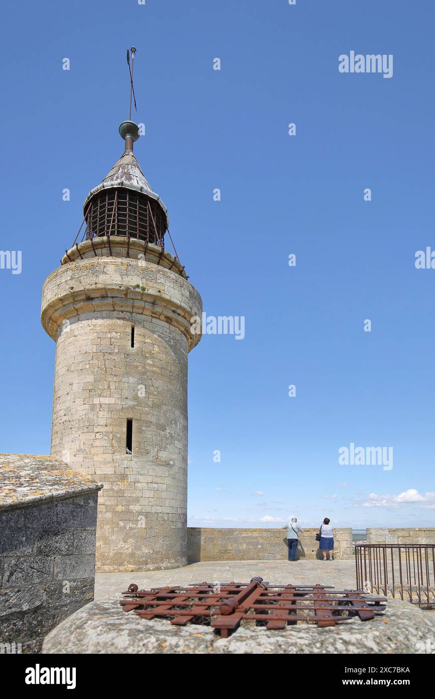 Platform of the Tour de Constance and two tourists, metal lattice ...