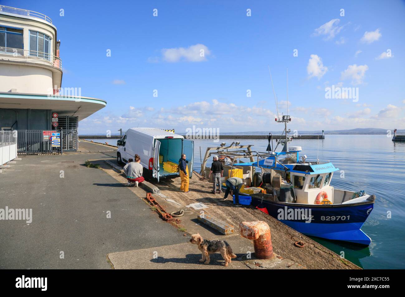 Landing of the morning catch of a fishing boat in the fishing harbour ...