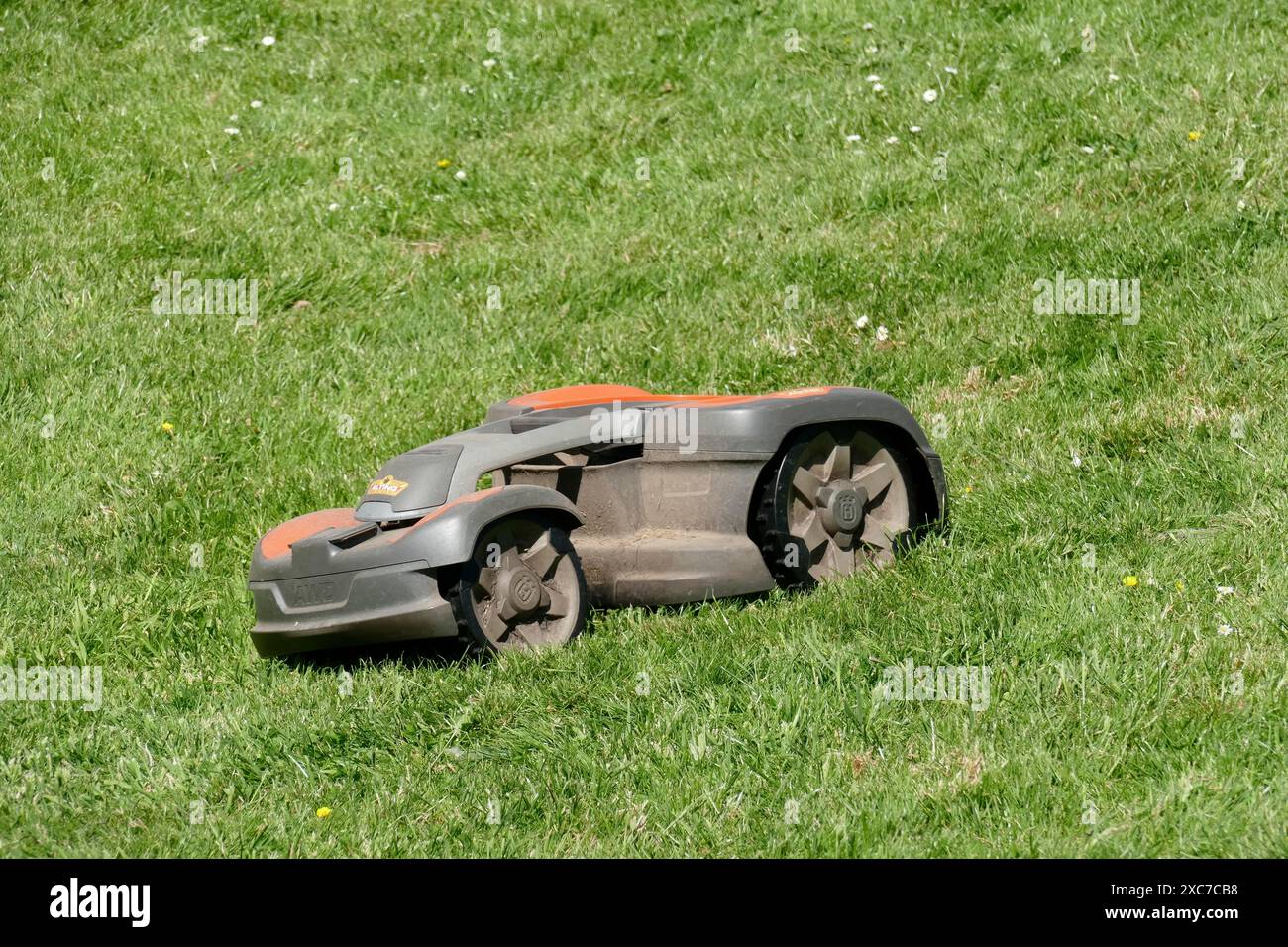Automatic lawn mower, robot mows lawn, Germany Stock Photo - Alamy