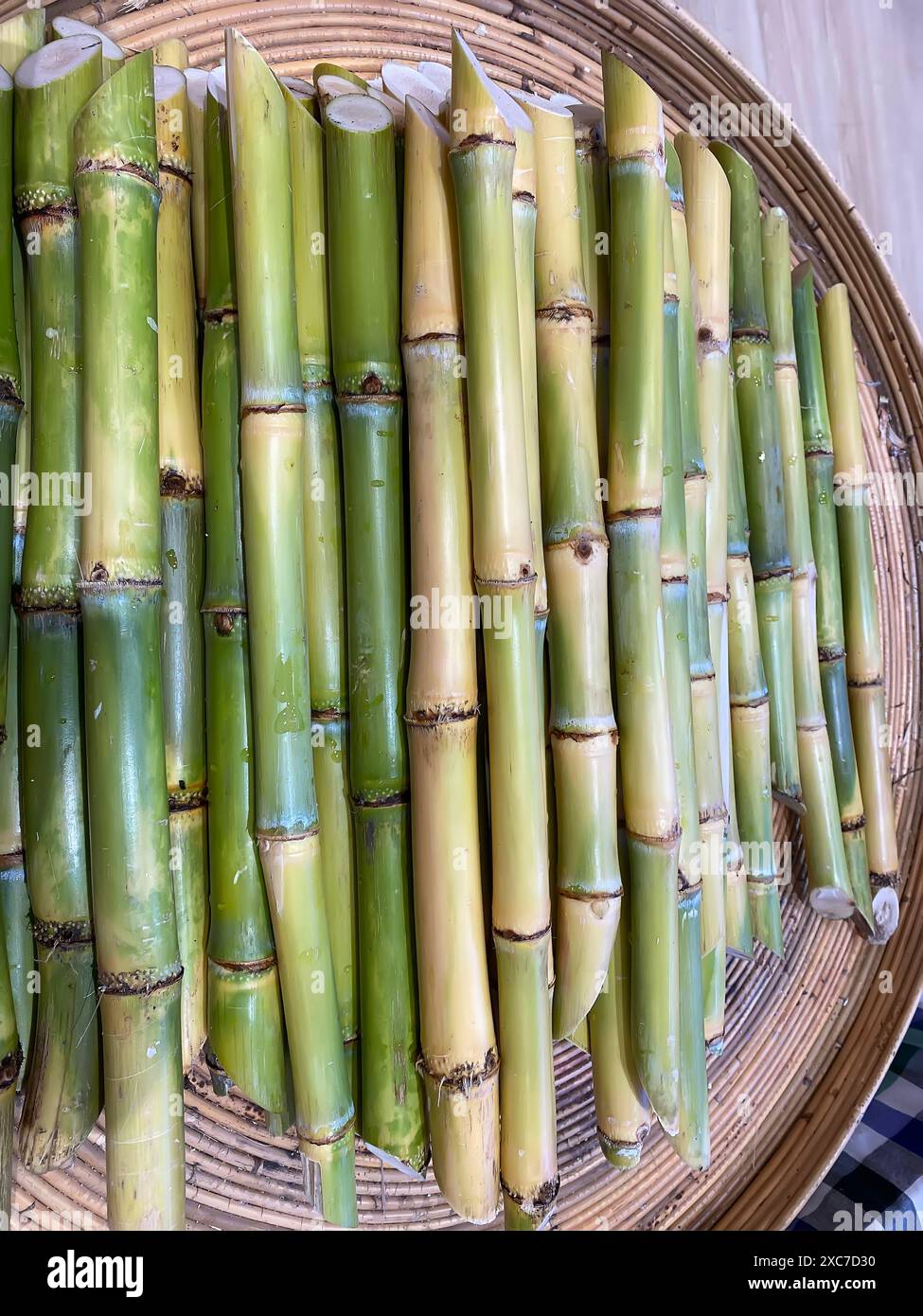 China bamboo forest cut hi-res stock photography and images - Alamy