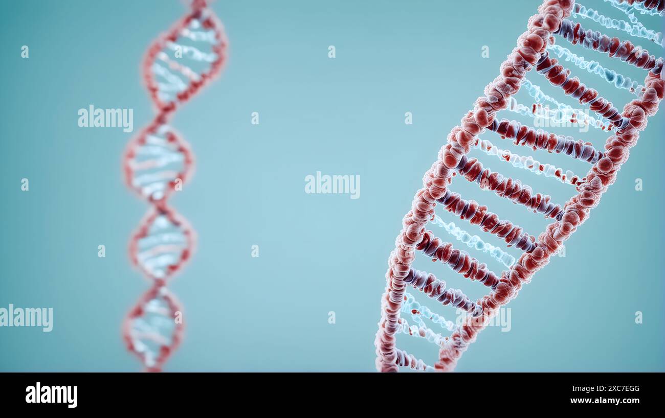 3d dna replication model hi-res stock photography and images - Alamy