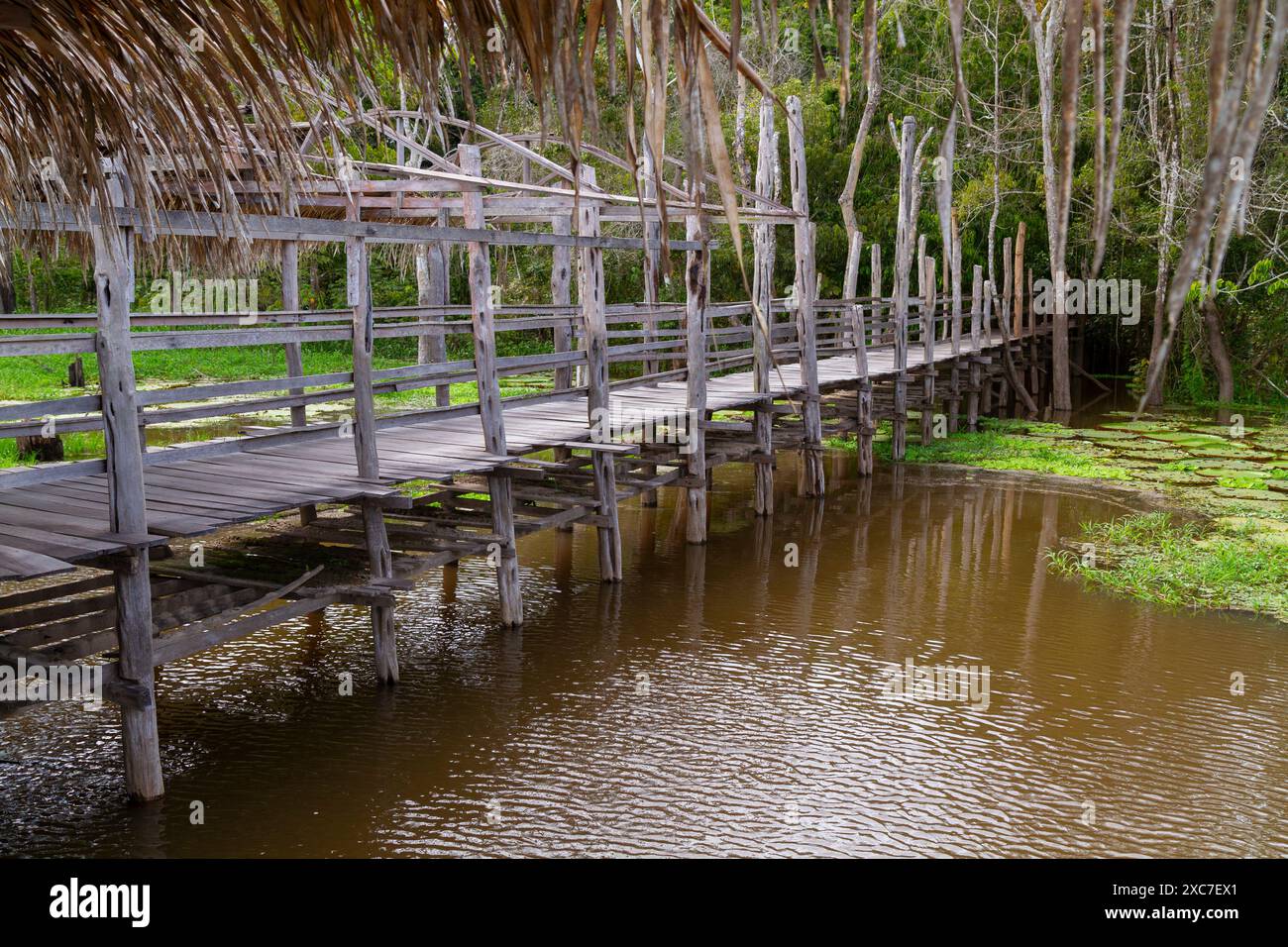 Swamp bridge hi-res stock photography and images - Alamy