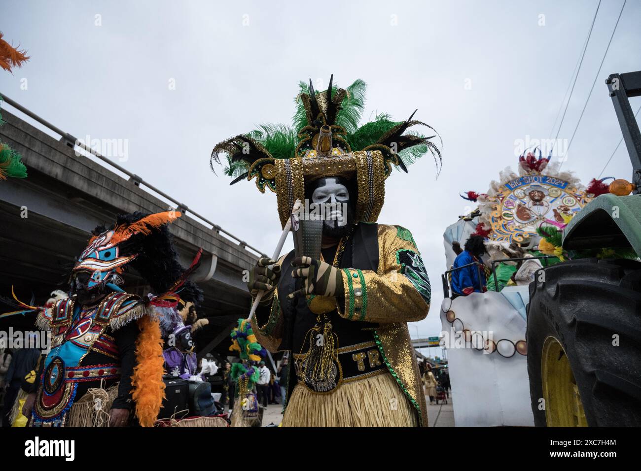 Mardi gras costumes hi-res stock photography and images - Alamy