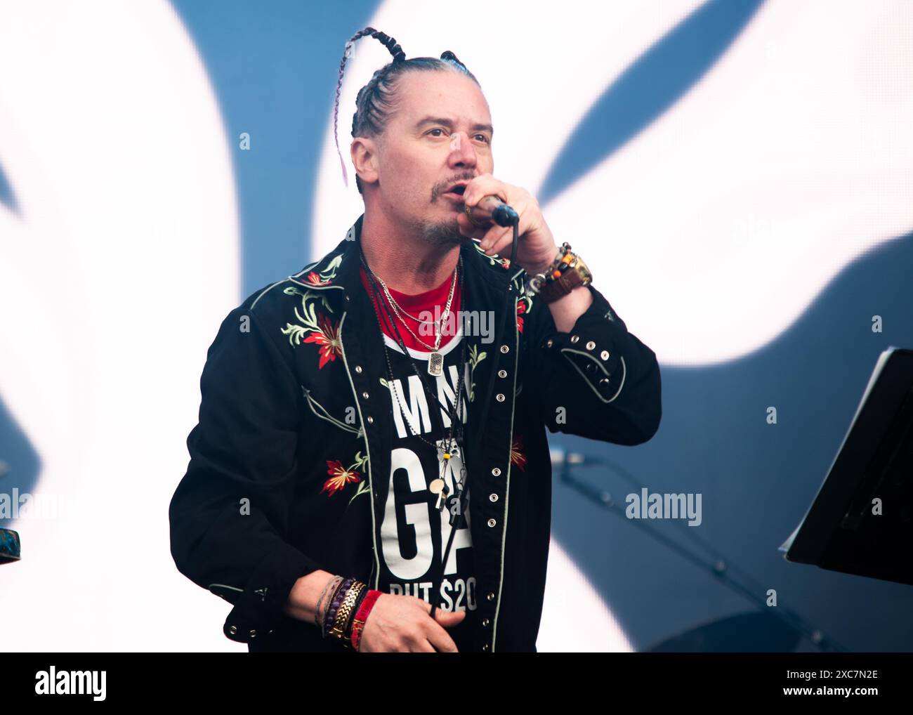 Mr bungle live hi-res stock photography and images - Alamy