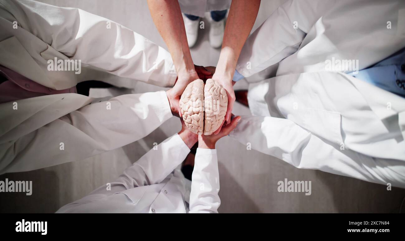 Hand holding human brain organ hi-res stock photography and images - Alamy