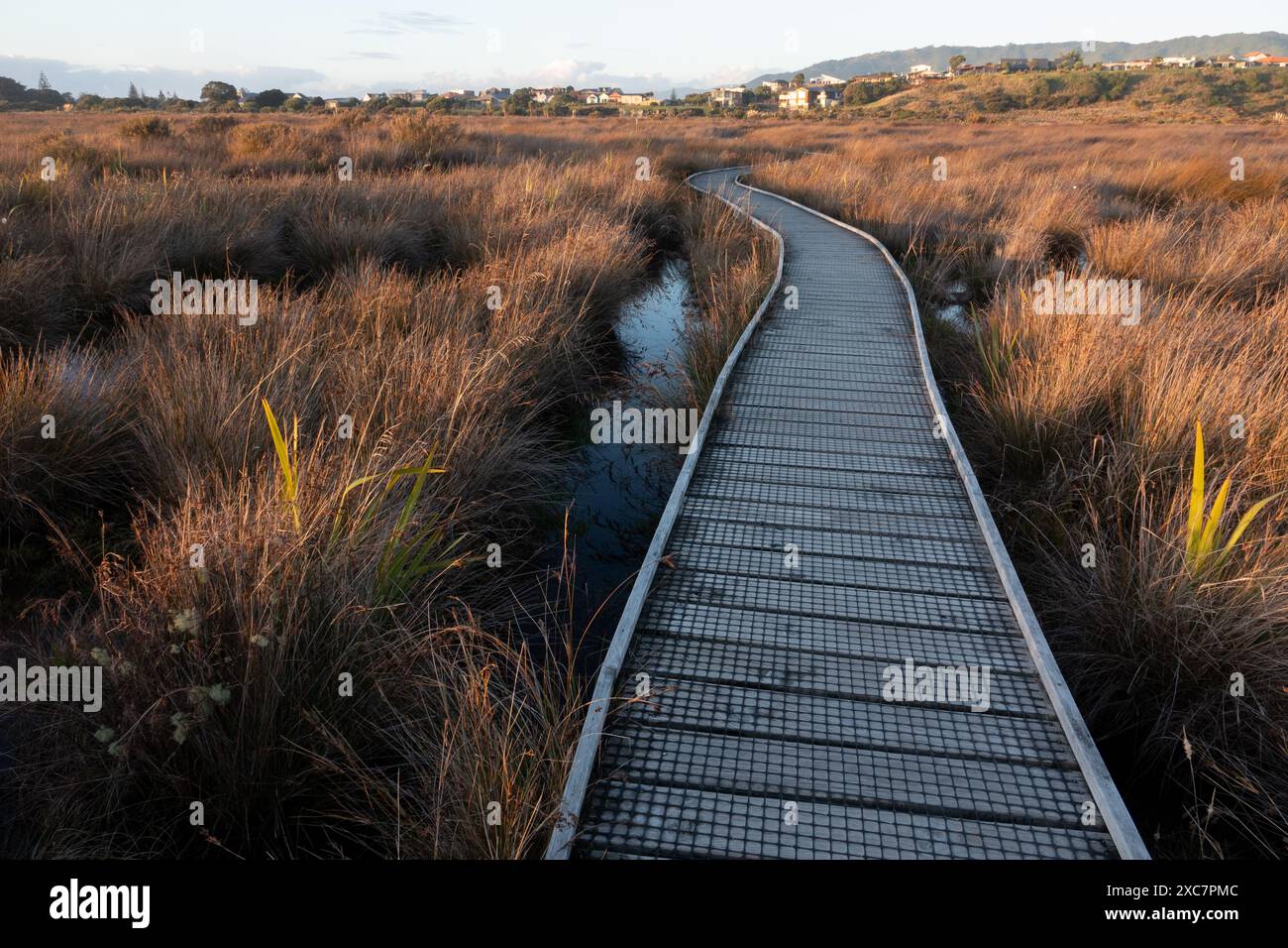 Otaihanga estuary walk on Waikanae River, Kapiti, New Zealand Stock ...