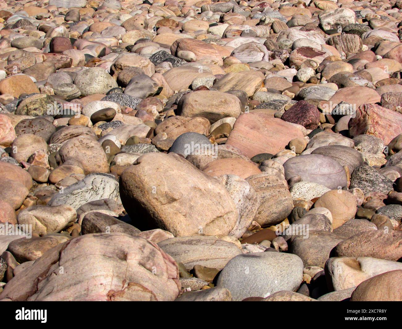 Pinkinsh brown hi-res stock photography and images - Alamy