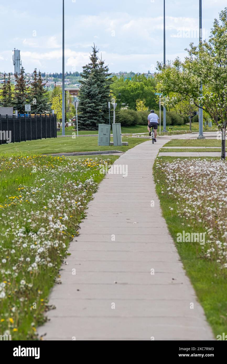 Man riding bicycle on city street pavement Stock Photo - Alamy