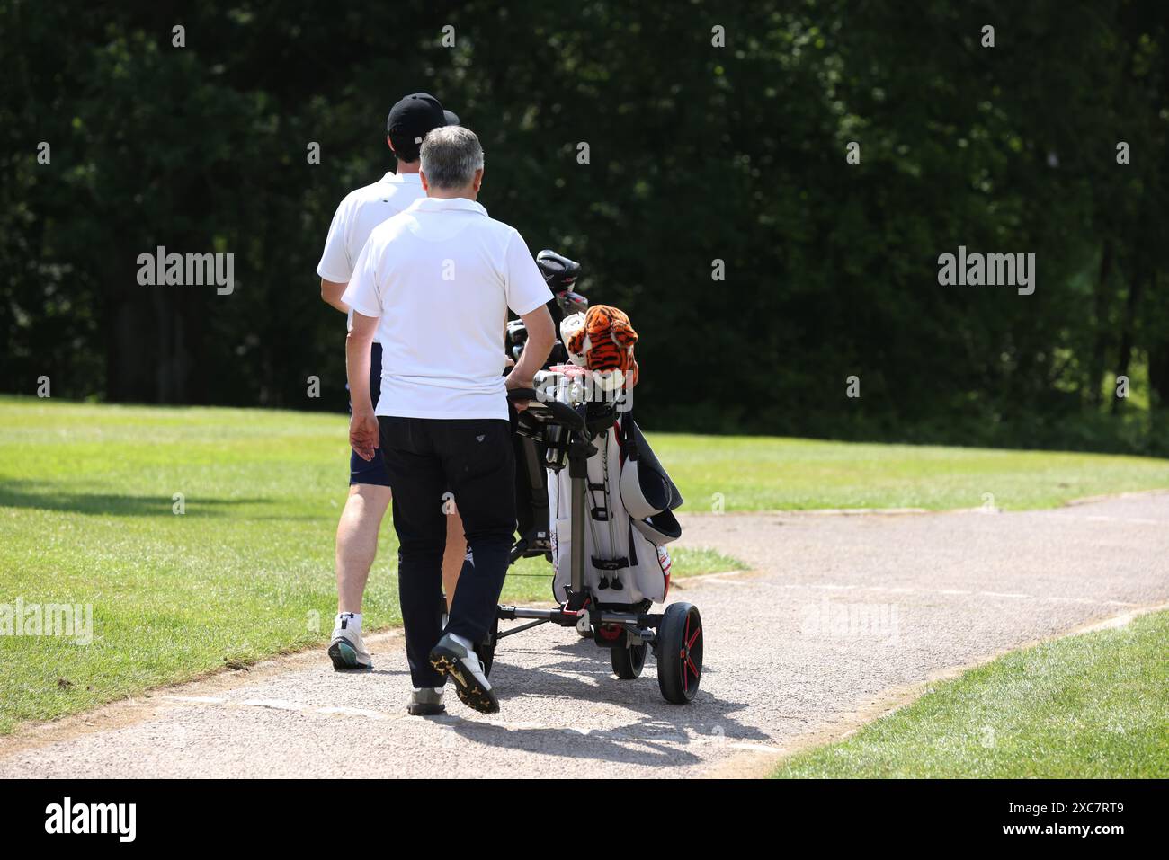General views of golfers playing the game at a golf club in East Sussex ...