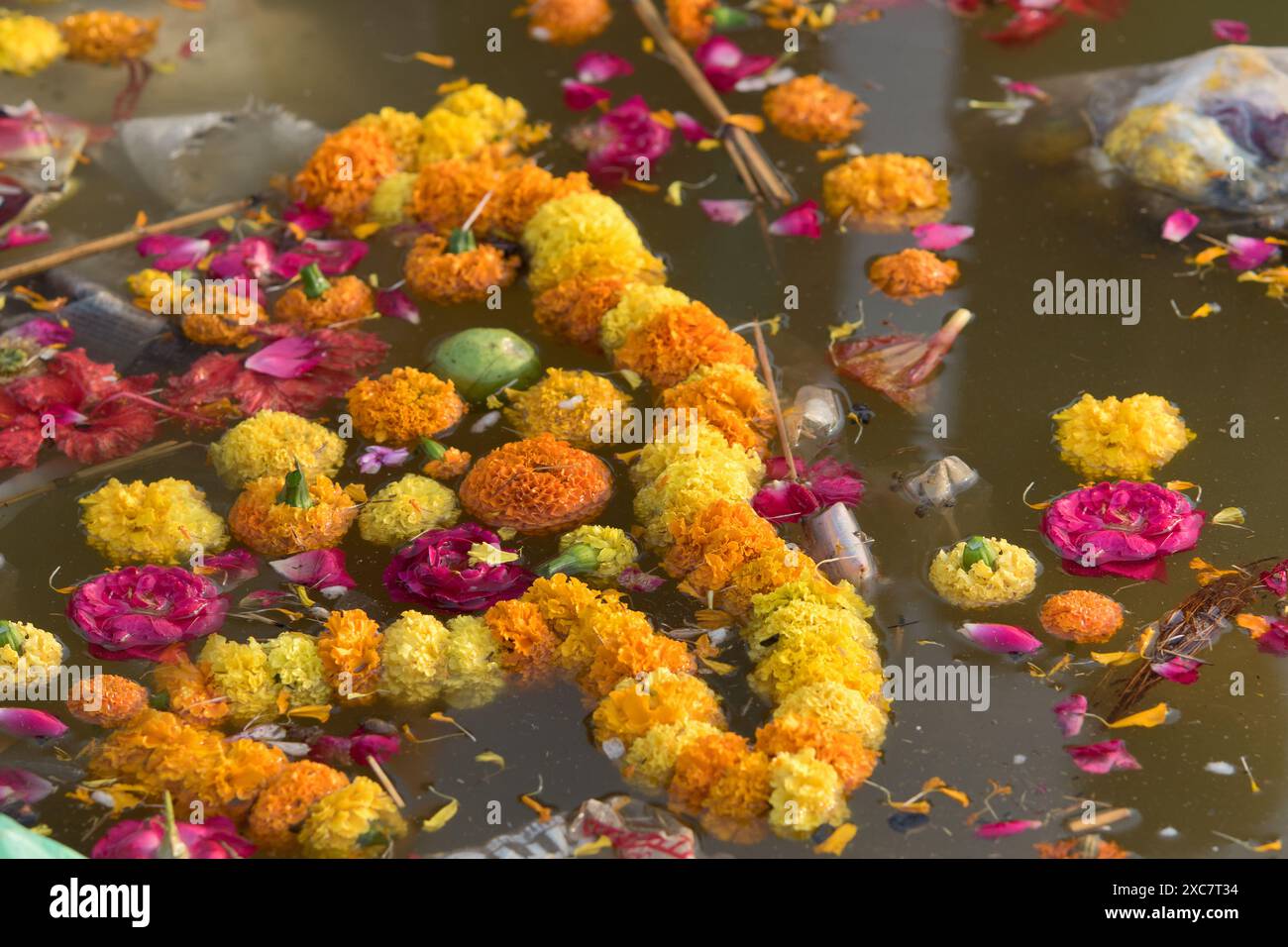 Allahabad (Prayagraj), India: flowers of the pilgrims in the holy river ...