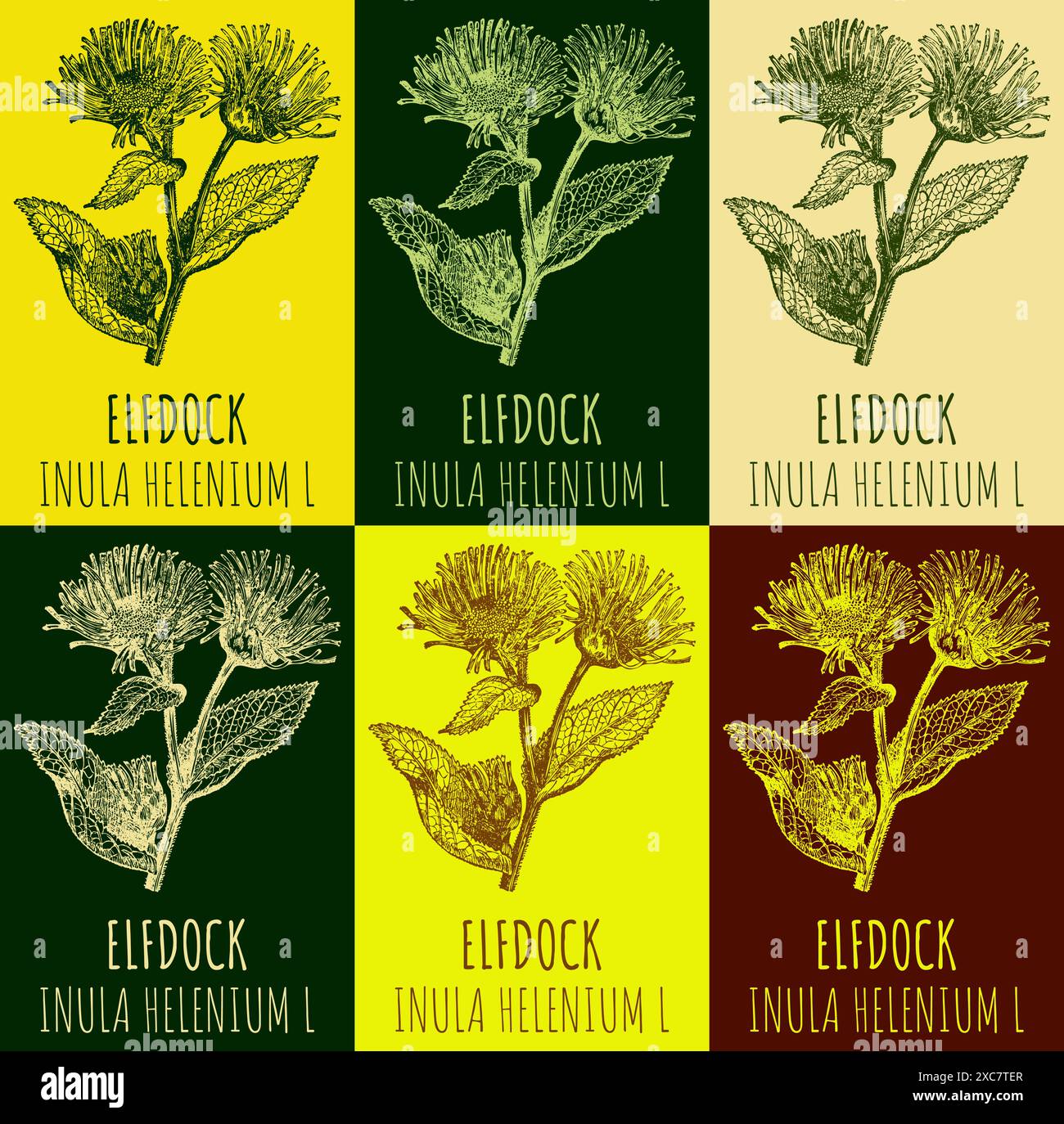 Set of vector drawing of ELFDOCK in various colors. Hand drawn ...