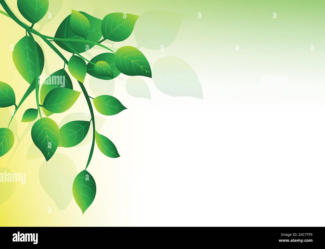 Decorative green leaves background hi-res stock photography and images ...