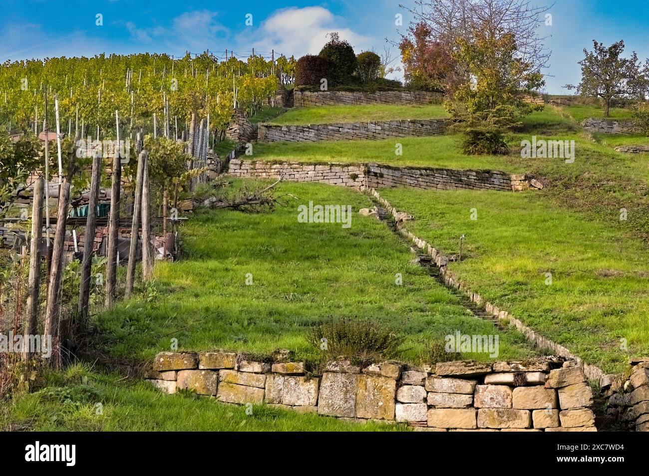 Natural stone wall in the vineyard hi-res stock photography and images ...