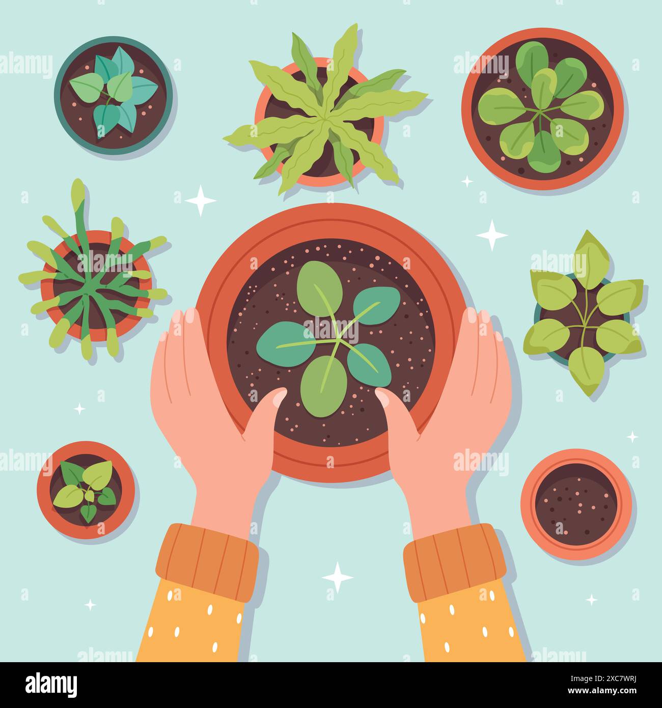 Transplanting flowers Stock Vector Images - Alamy