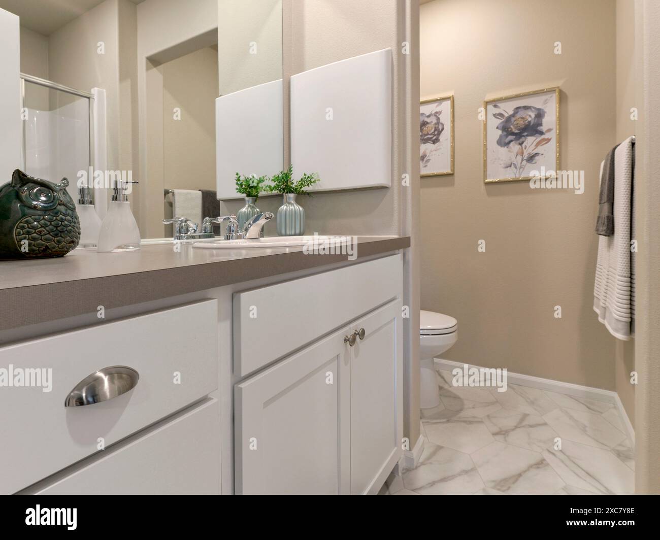 Modern residential bathroom interior Stock Photo - Alamy