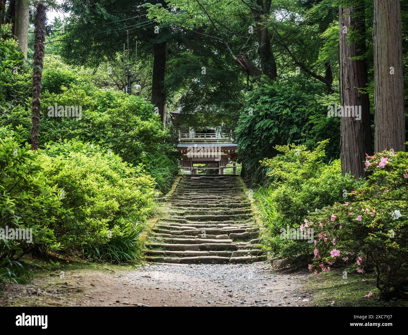 Jochi ji hi-res stock photography and images - Alamy