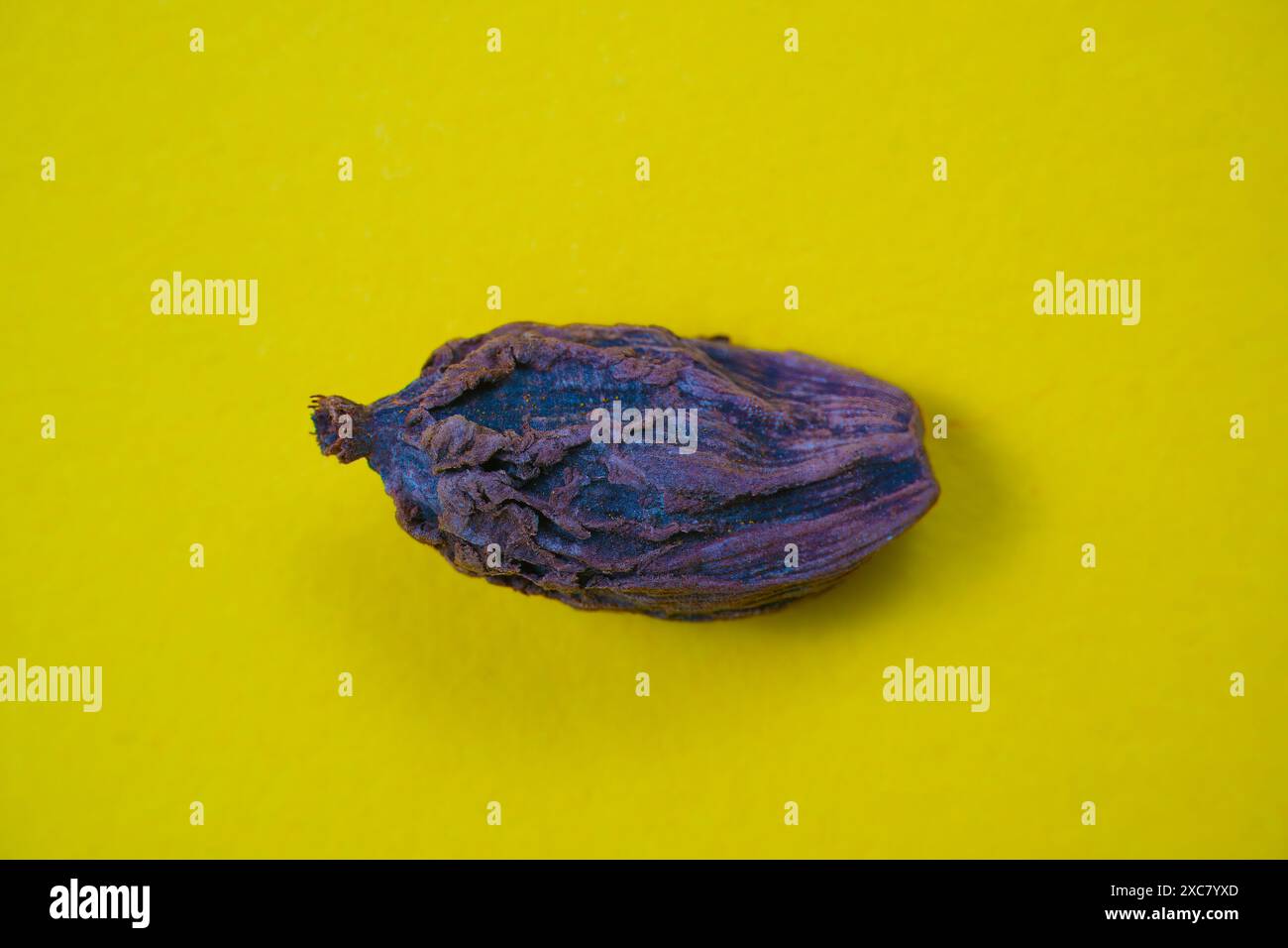 A single picture of black open cardamom, isolated on a yellow ...