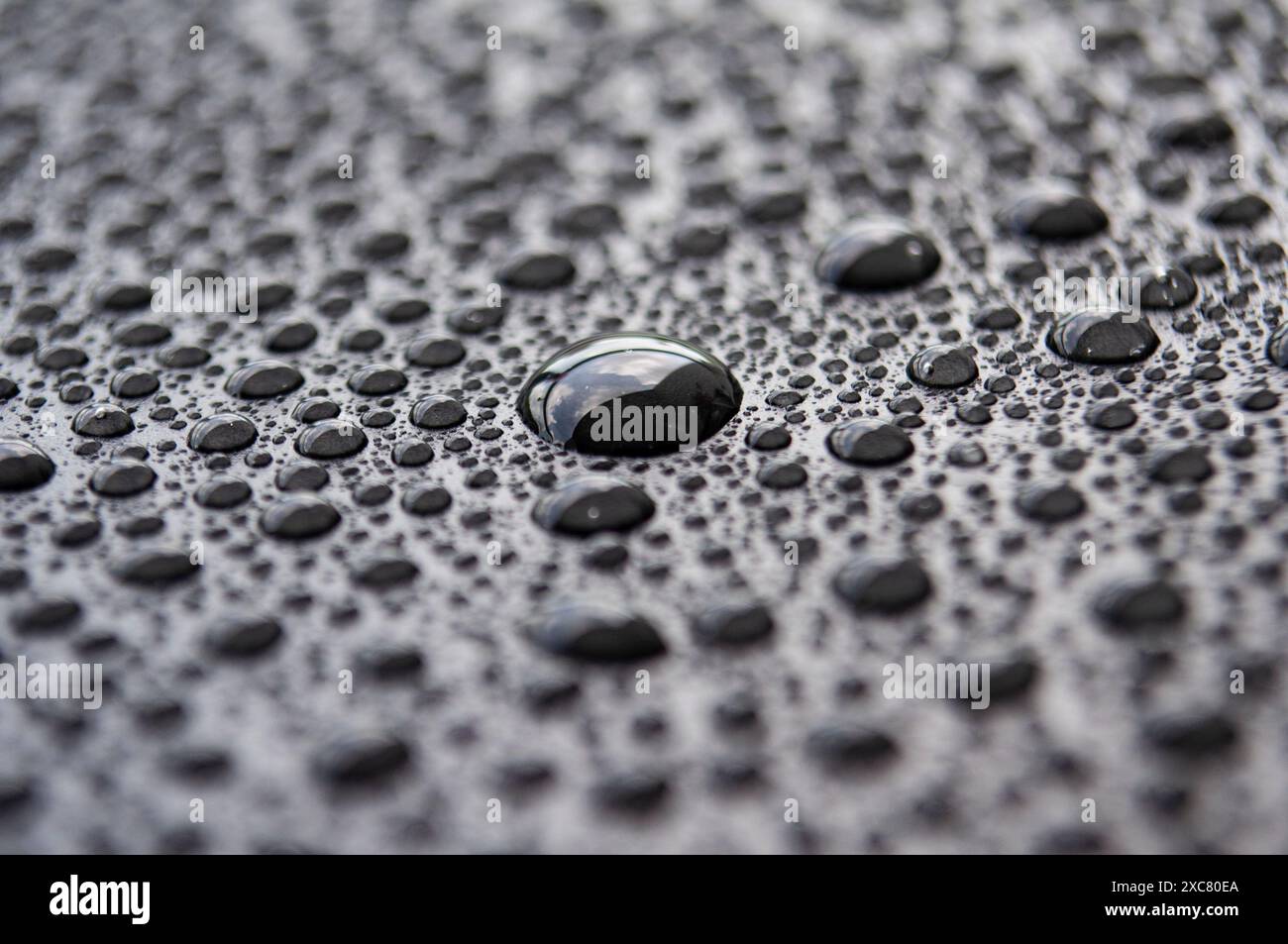Close up of rain water droplets on dark cover background Stock Photo ...