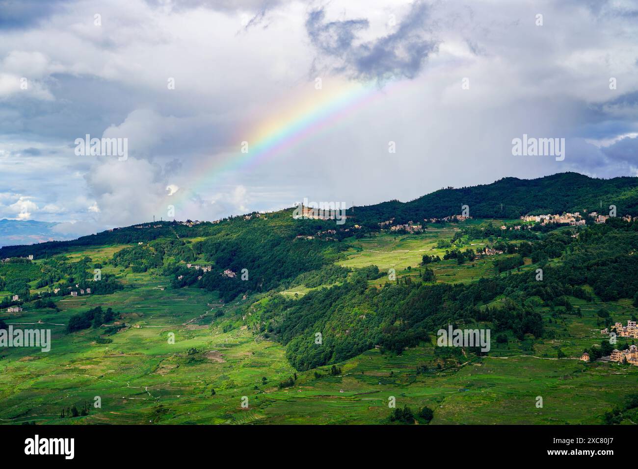 Yuanyang. 14th June, 2024. This photo taken on June 14, 2024 shows a ...
