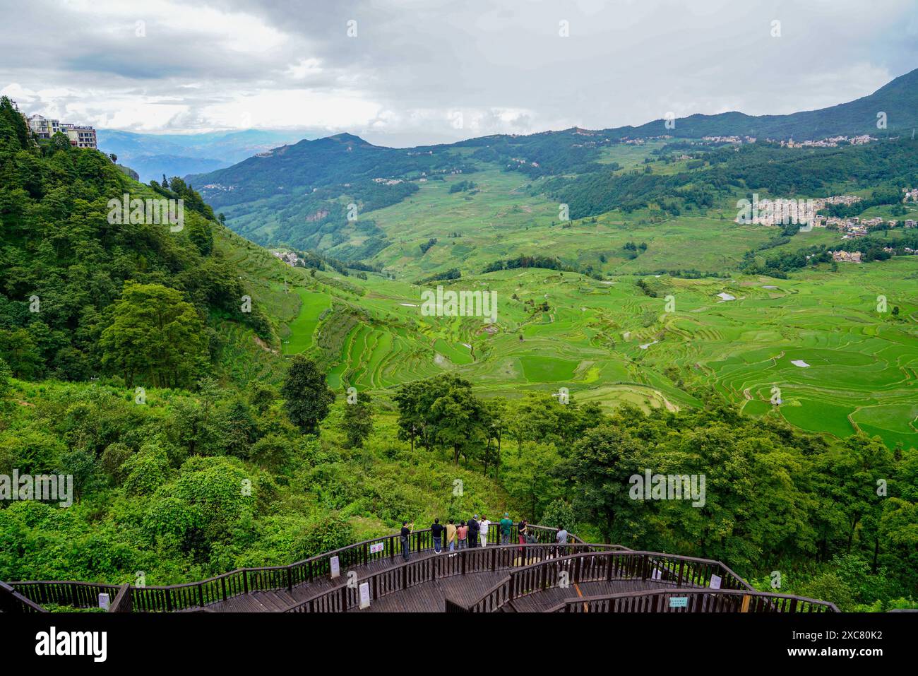 Yuanyang, China's Yunnan Province. 14th June, 2024. Tourists enjoy the ...