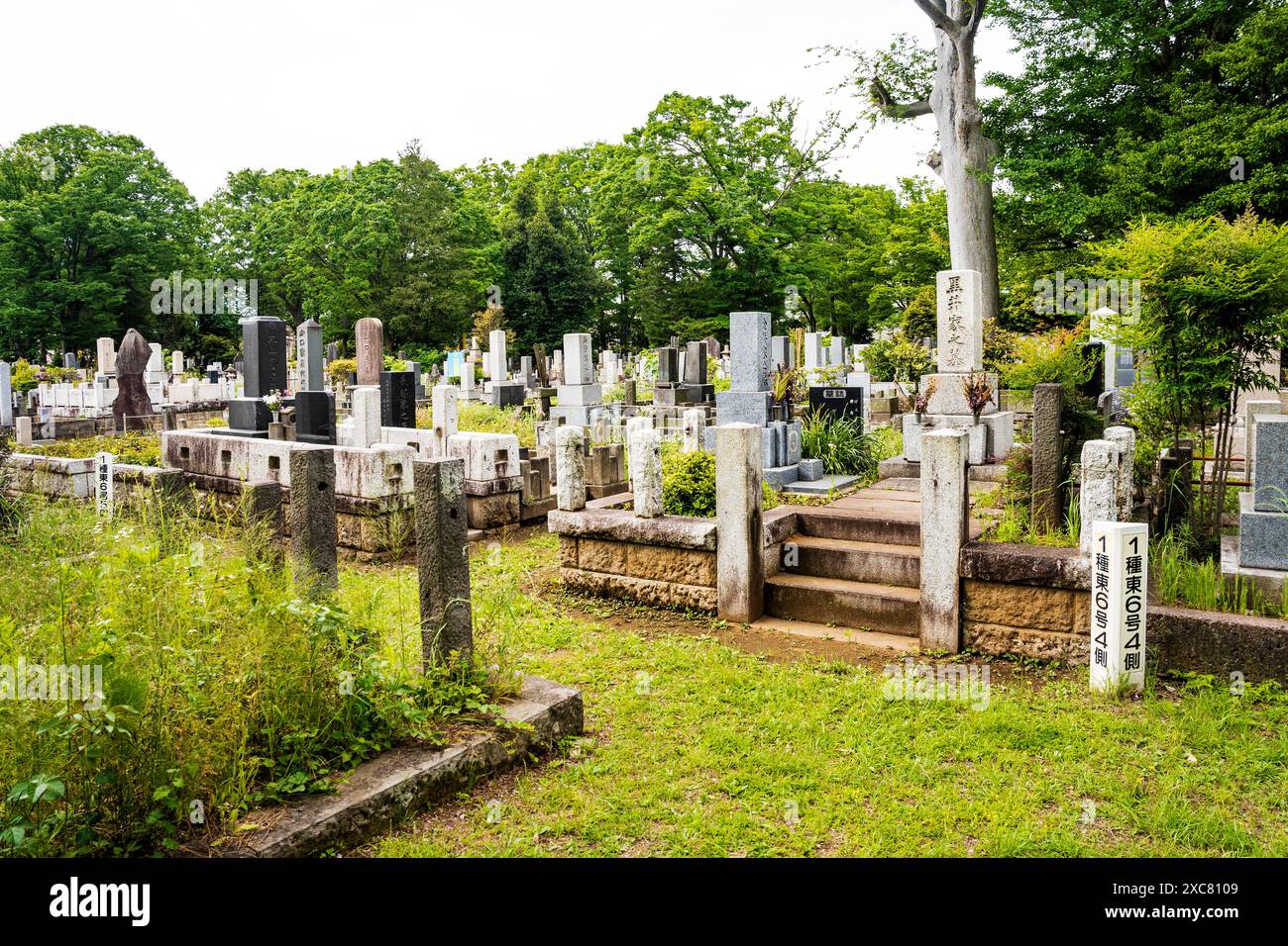 The Zoshigaya Cemetery, a public graveyard in Minami-Ikebukuro, Toshima ...