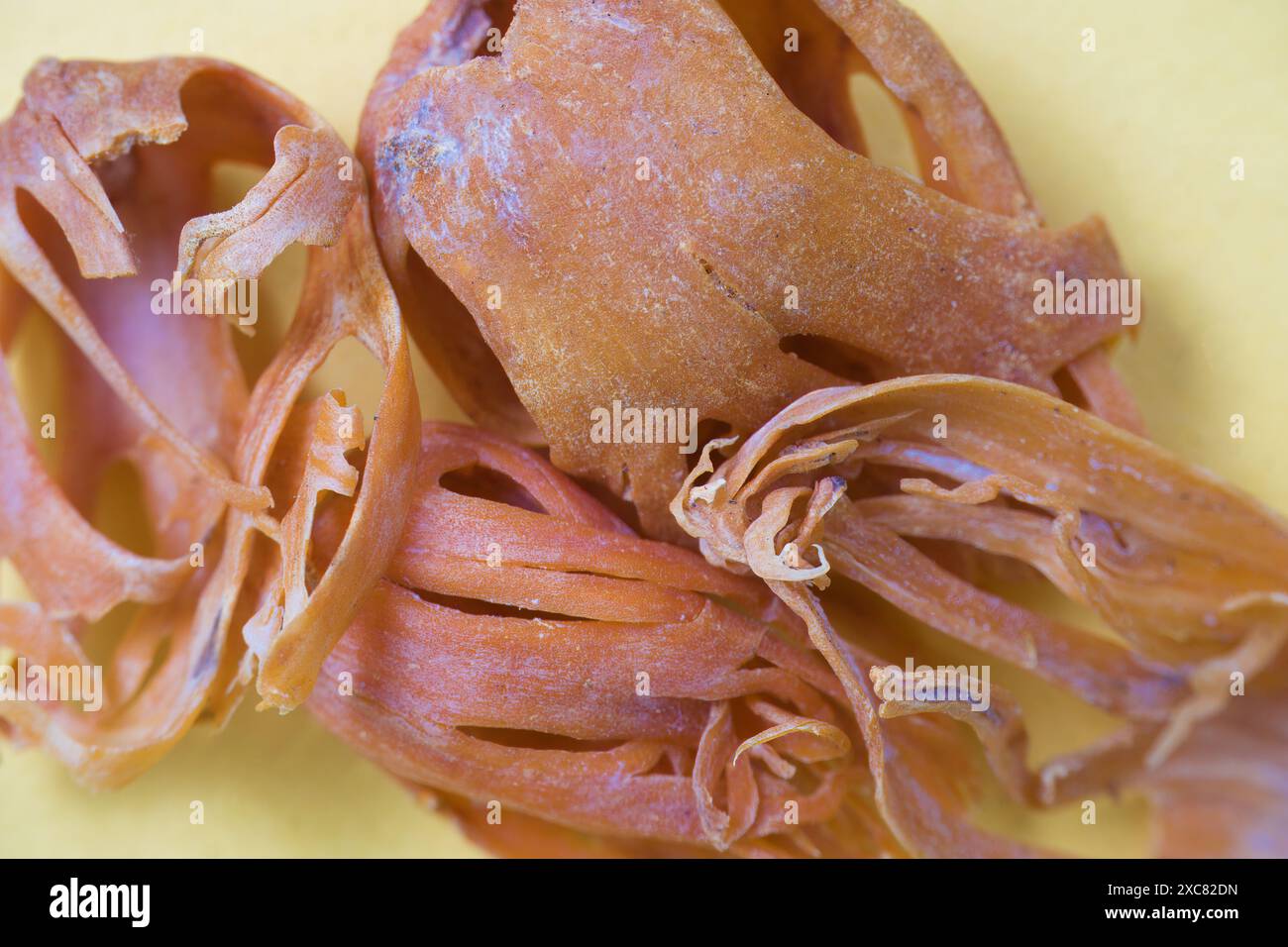 Natural mace, also known as Jayitri (Myristica fragrans), isolated ...