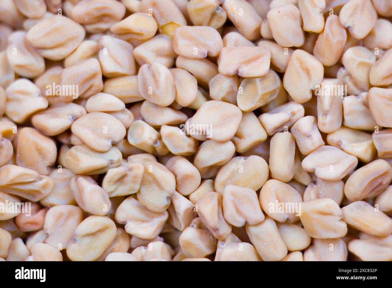 Close-up image of split fenugreek seeds, also known as Methi Kuria ...