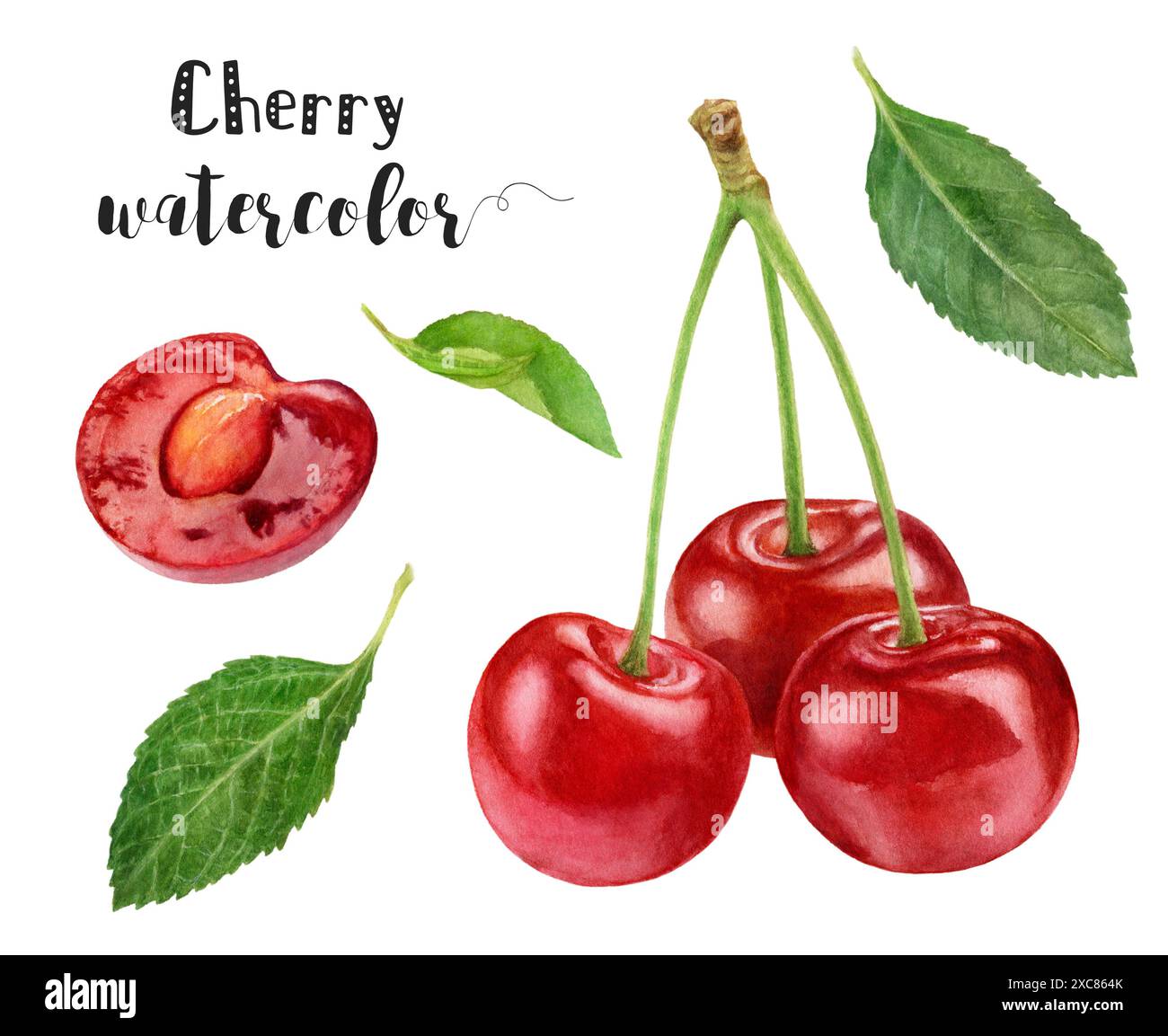 Watercolor Cherry Illustration Great for stationery, decor, gifting ...