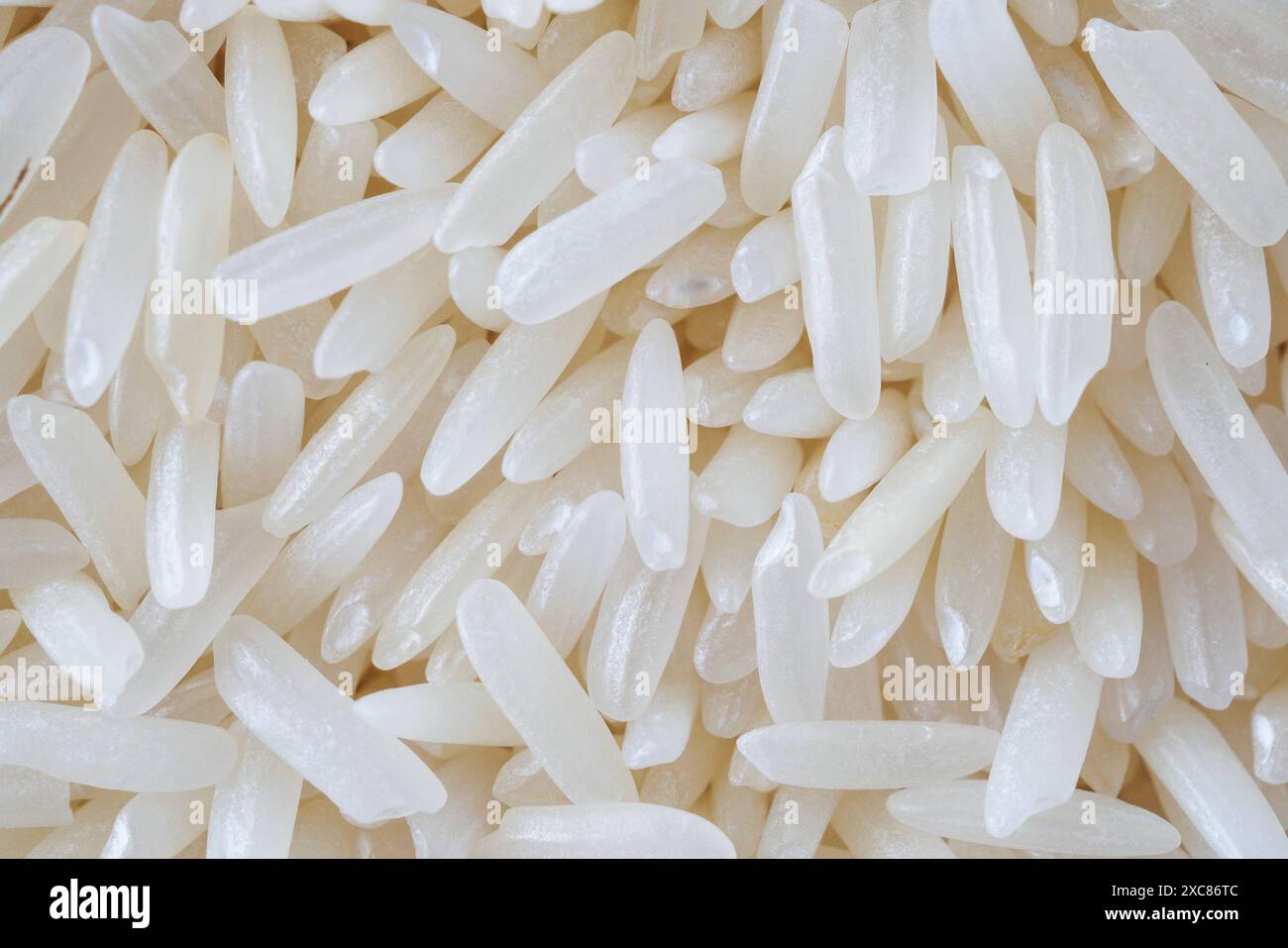 Thailand Jasmine rice grains texture background close up Stock Photo ...