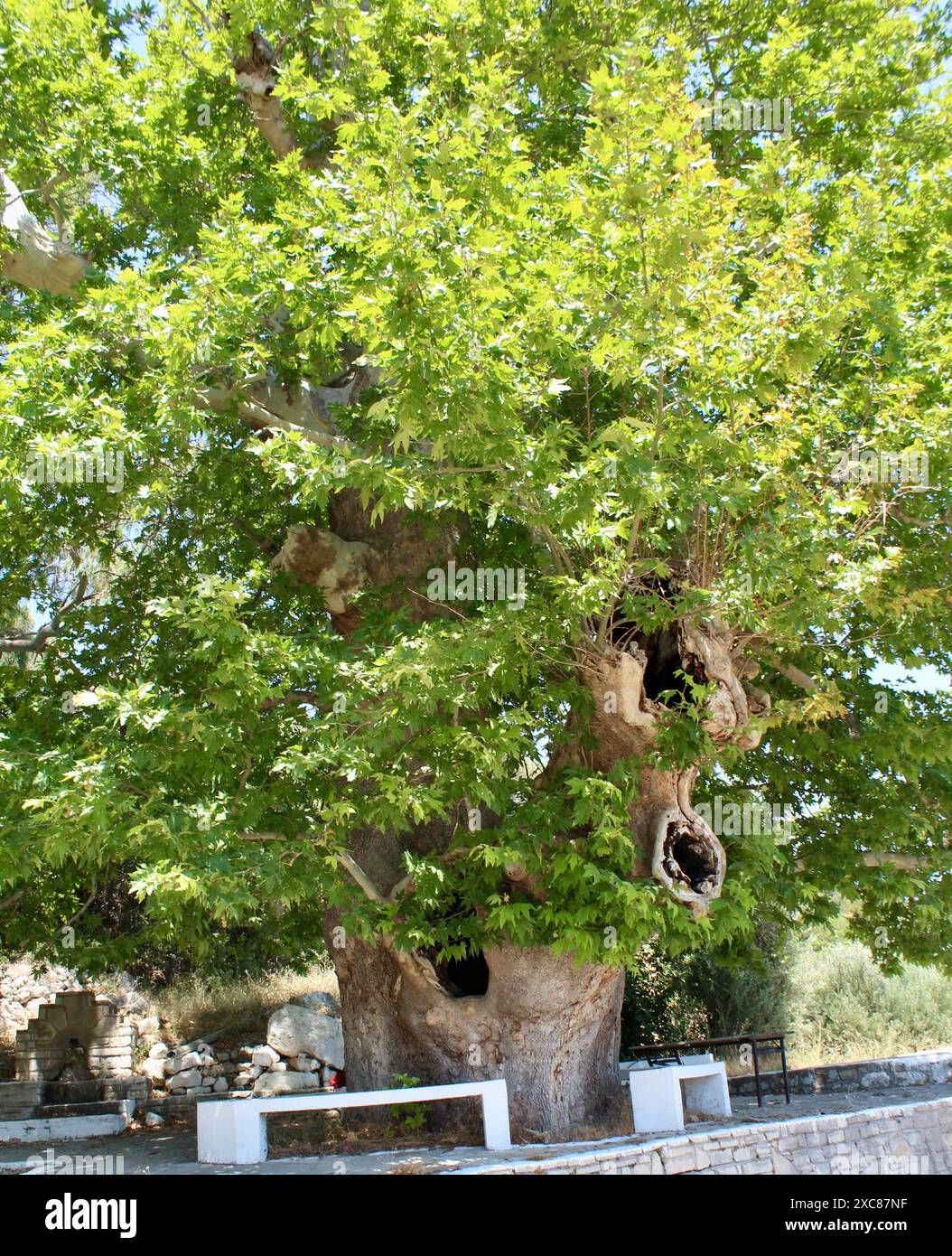 Alamy greek hi-res stock photography and images - Alamy
