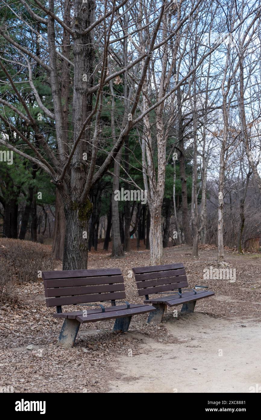Seoul korea bench hi-res stock photography and images - Alamy