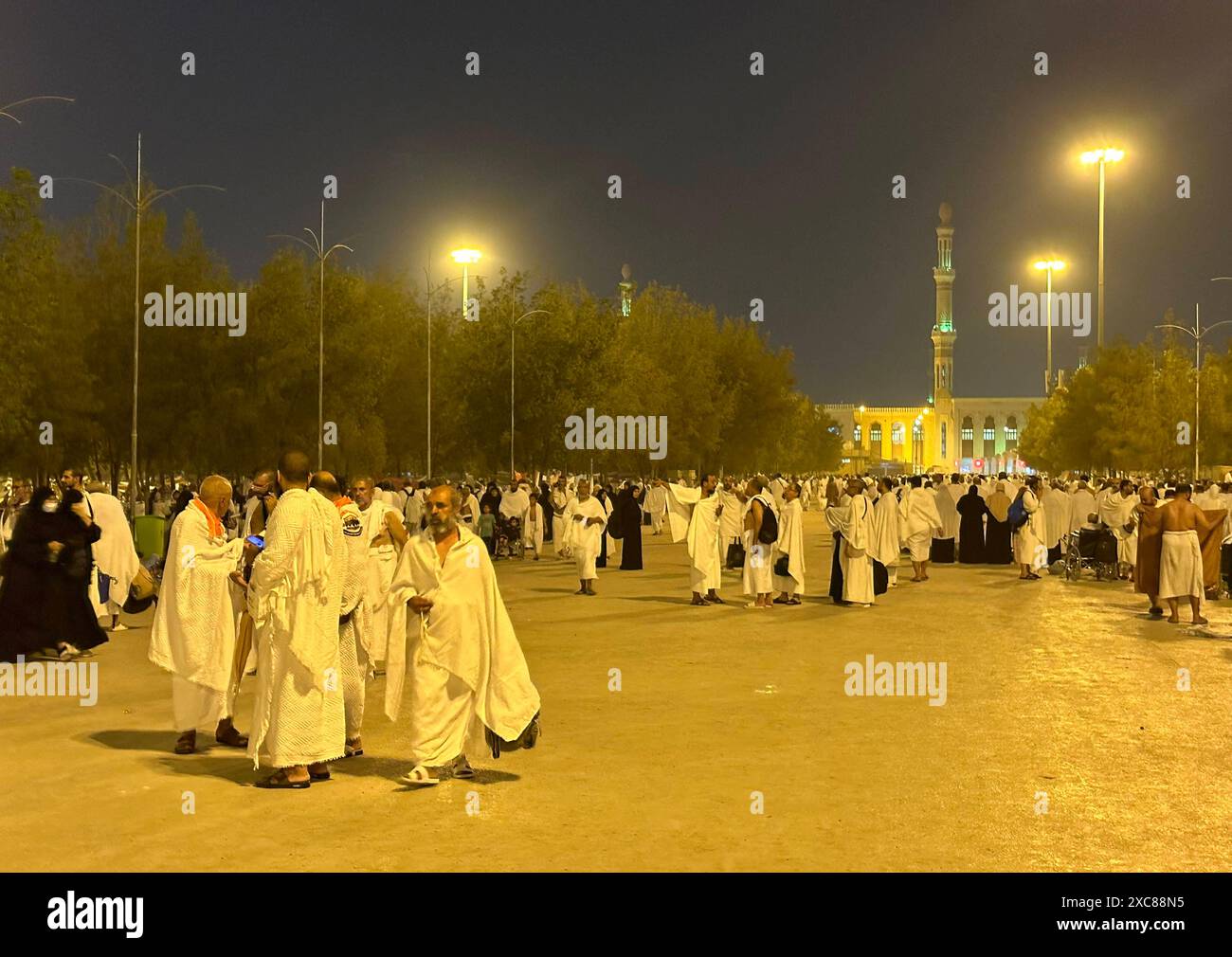 Muslim pilgrims pray at dawn on Saudi Arabia s Mount Arafat, also known ...