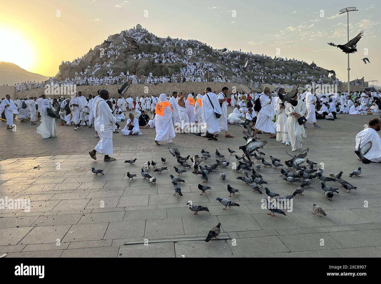 Muslim pilgrims pray at dawn on Saudi Arabia s Mount Arafat, also known ...
