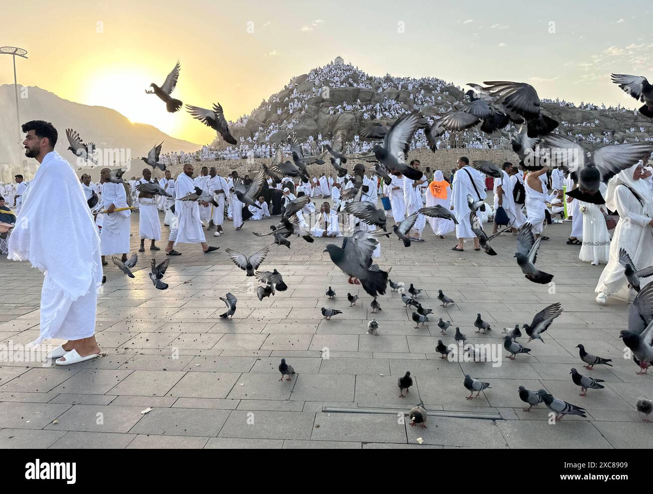 Muslim pilgrims pray at dawn on Saudi Arabia s Mount Arafat, also known ...