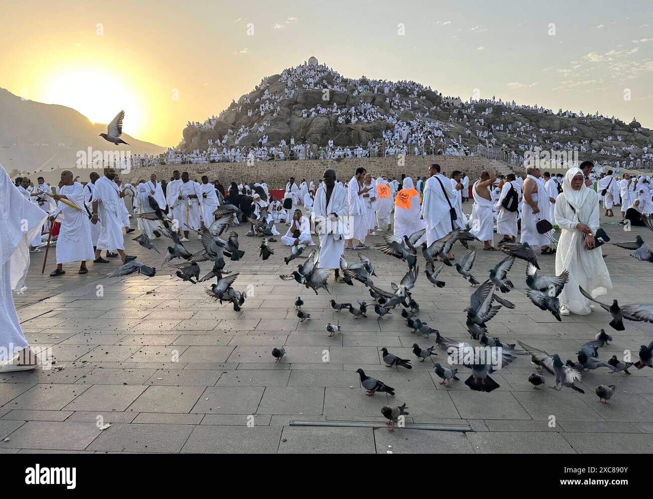 Muslim pilgrims pray at dawn on Saudi Arabia s Mount Arafat, also known ...