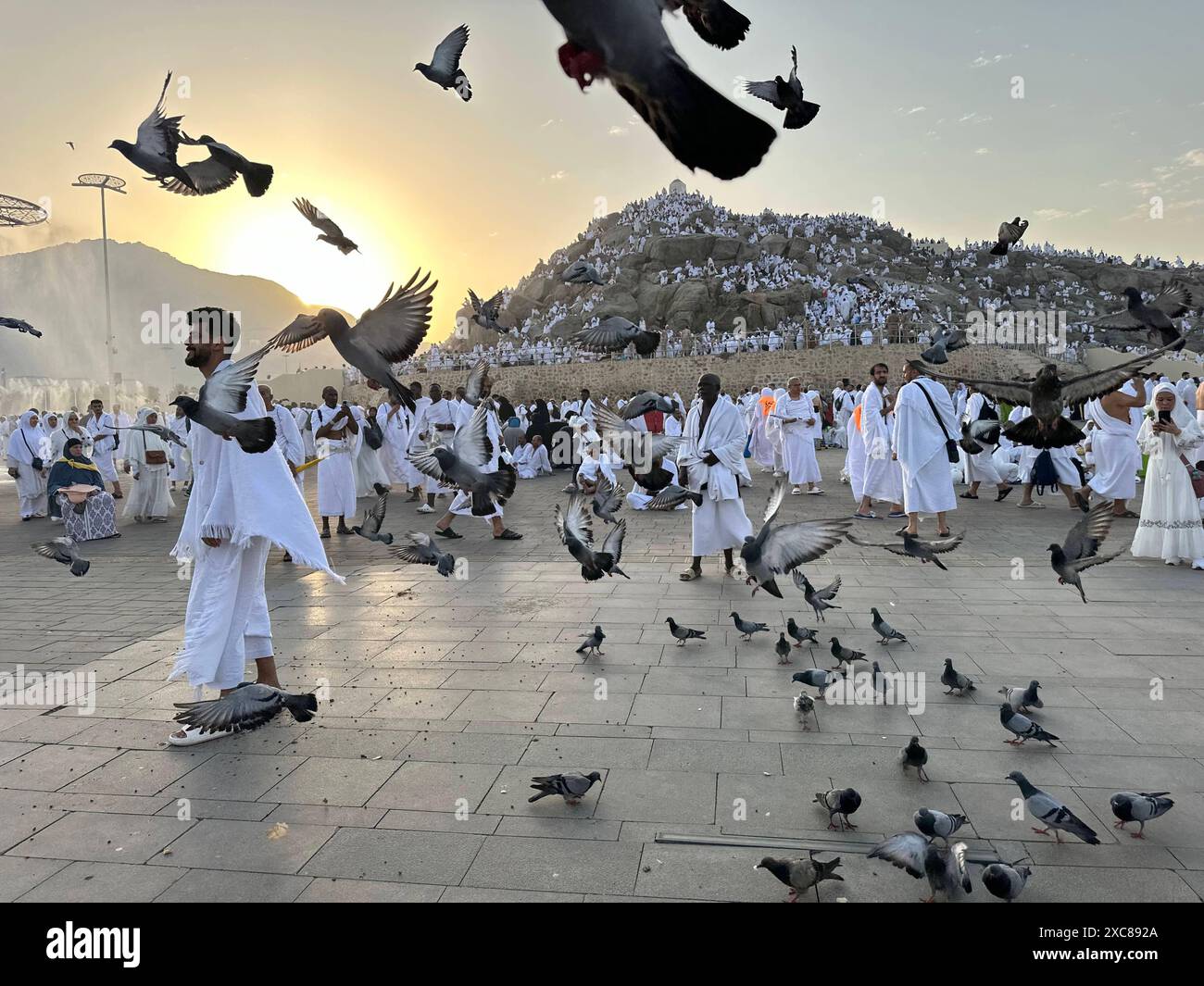 Muslim pilgrims pray at dawn on Saudi Arabia s Mount Arafat, also known ...