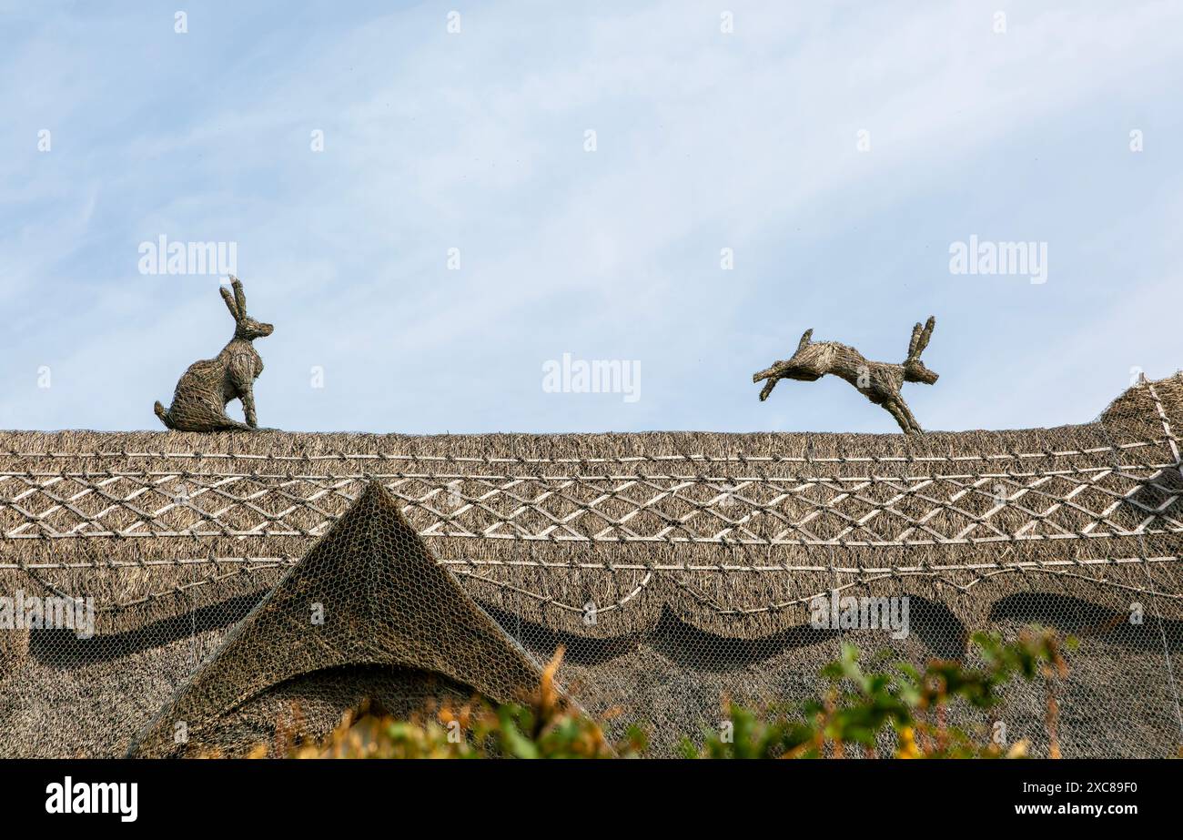 Figures of thatch hares running along ridge of thatched cottage roof ...