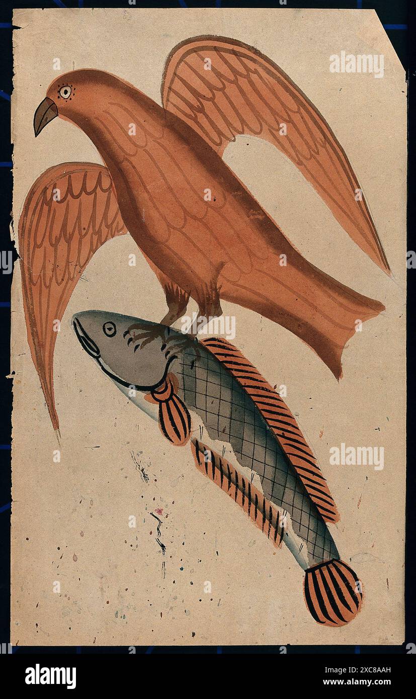 A watercolour painting depicting a bird carrying a fish in its talons ...