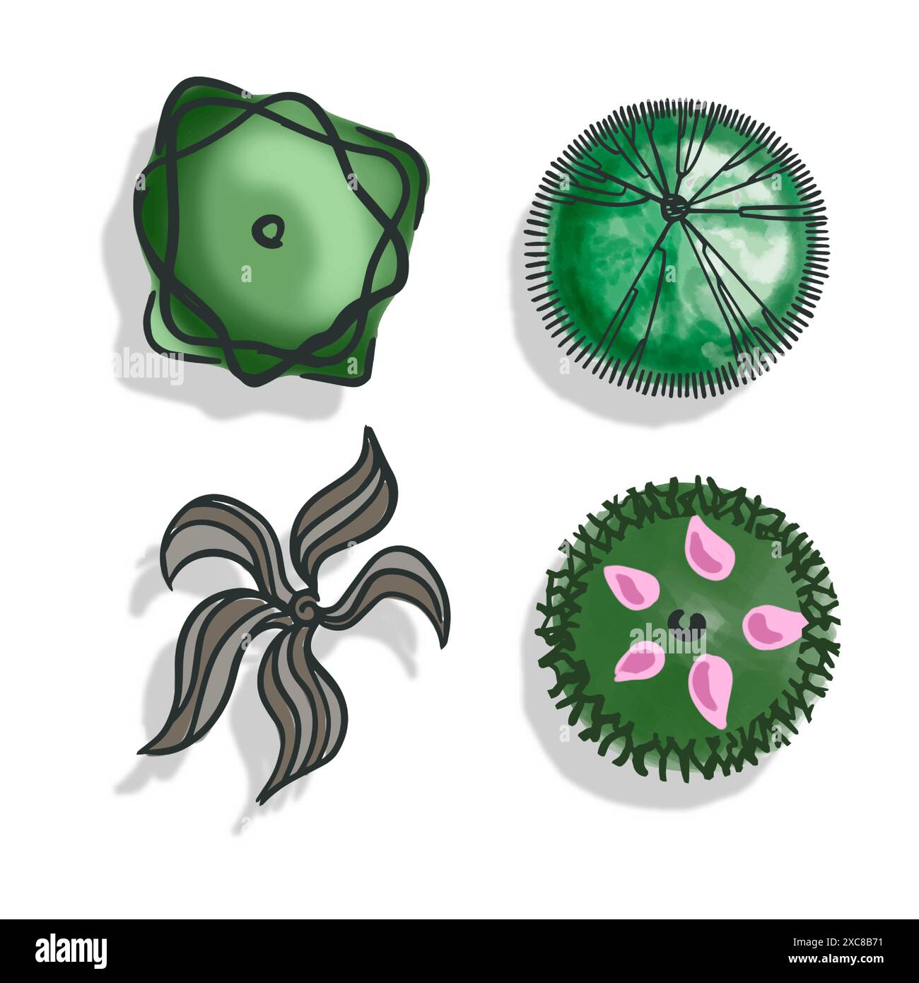 Set trees top view in color. Pictograms for general plans landscape design in sketch style with ...