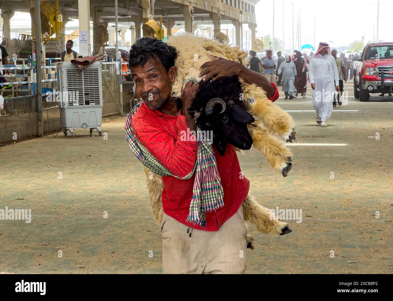 QATAR EID AL-ADHA PREPARATION 2024 A man carries a sheep at the ...