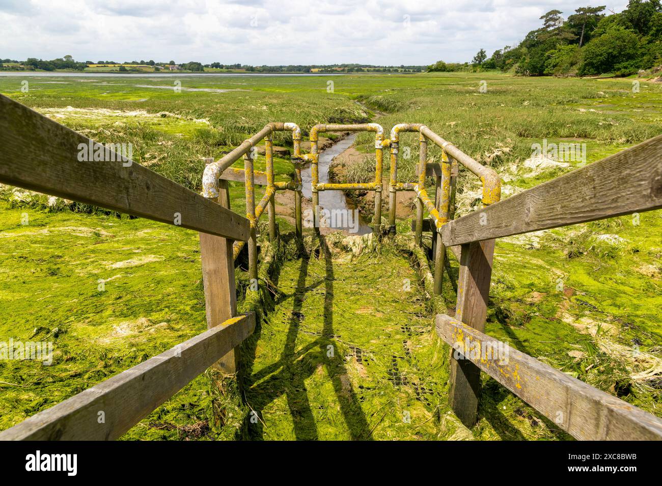 Drainage sluice gate River Deben at very low tide, Sutton, Suffolk ...