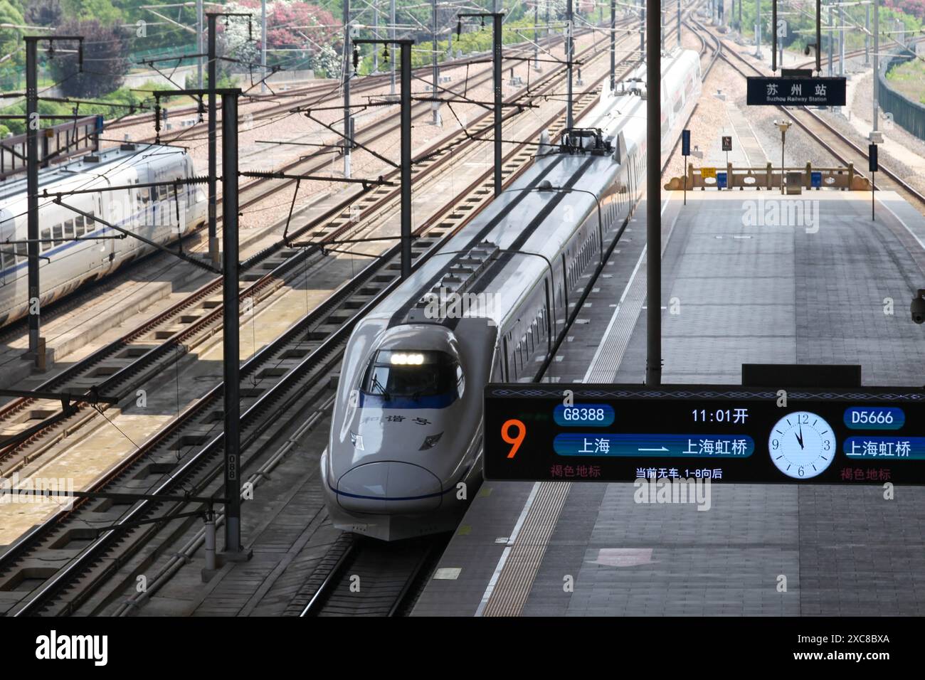 (240615) -- SHANGHAI, June 15, 2024 (Xinhua) -- The train G8388 enters ...