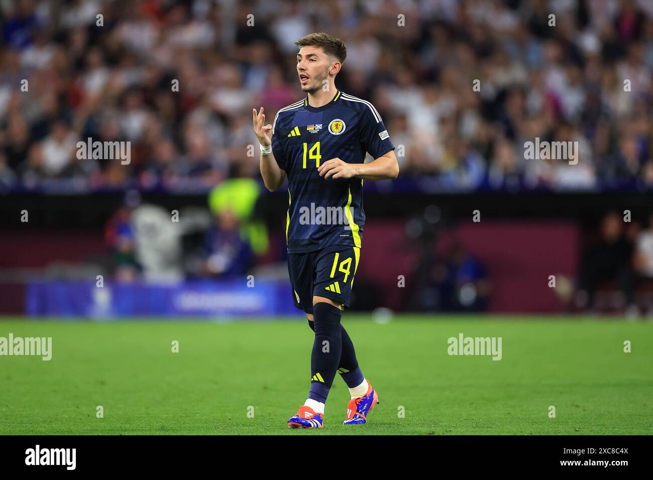 Billy gilmour scotland 2024 hi-res stock photography and images - Alamy