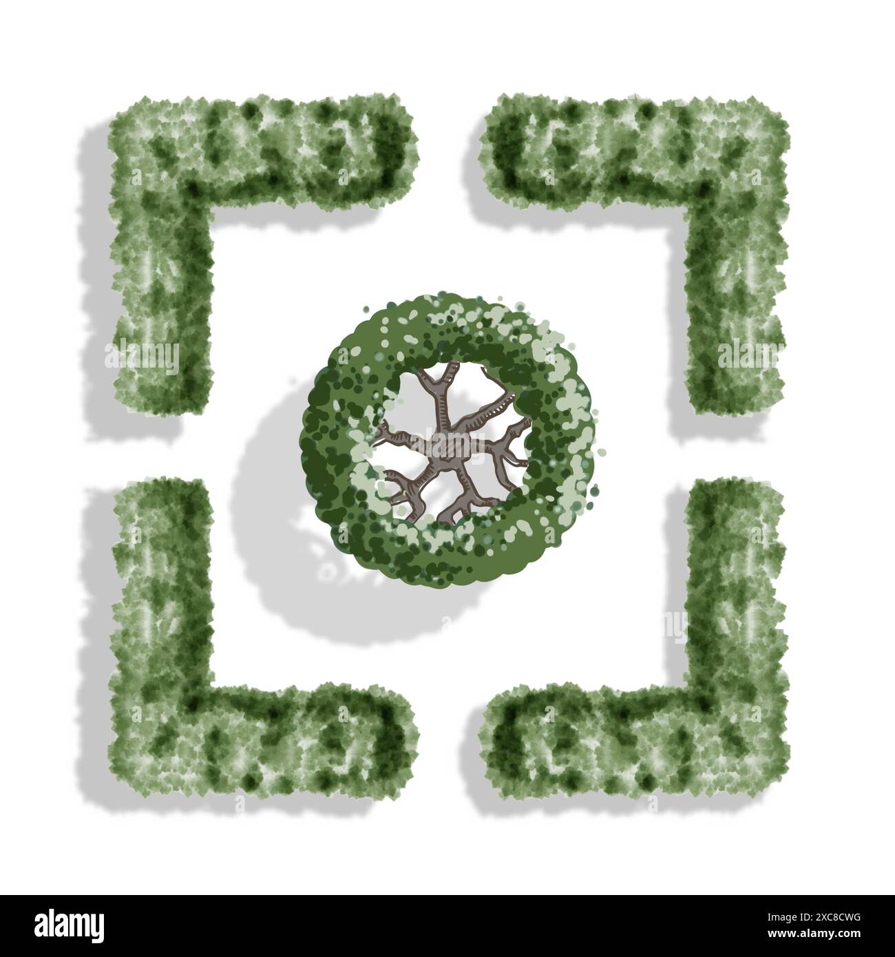 Sketch trimmed green hedge of bushes, tapeworm tree in the center ...