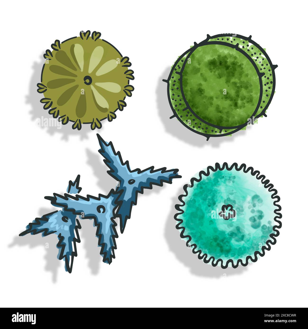 Set trees top view in color. Pictograms for general plans landscape design in sketch style with ...